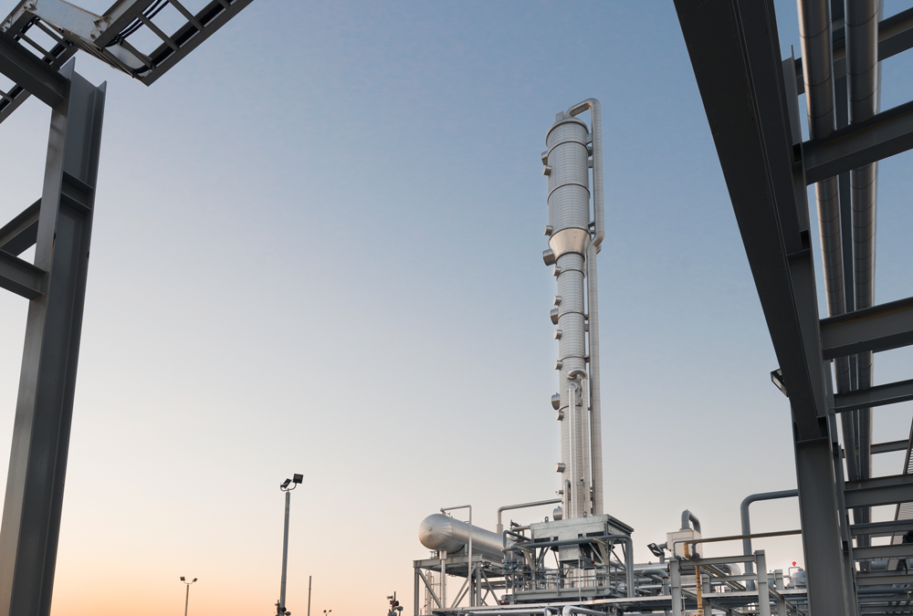 Predesign, Standardization & Profitability- Audubon Companies