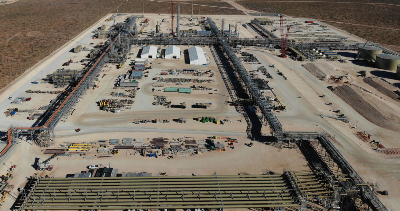 Field Services | Audubon