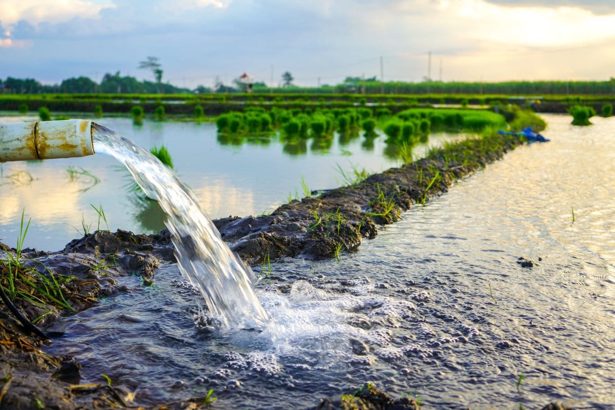 Water + Wastewater | Industries | Audubon