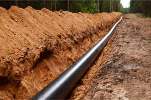 Field Services | Capabilities | Audubon