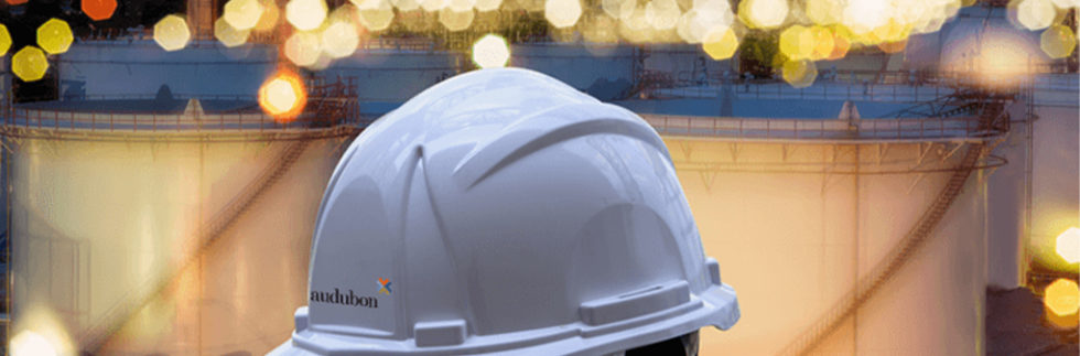 Audubon Companies | 2019 Contractor Safety Excellence Award